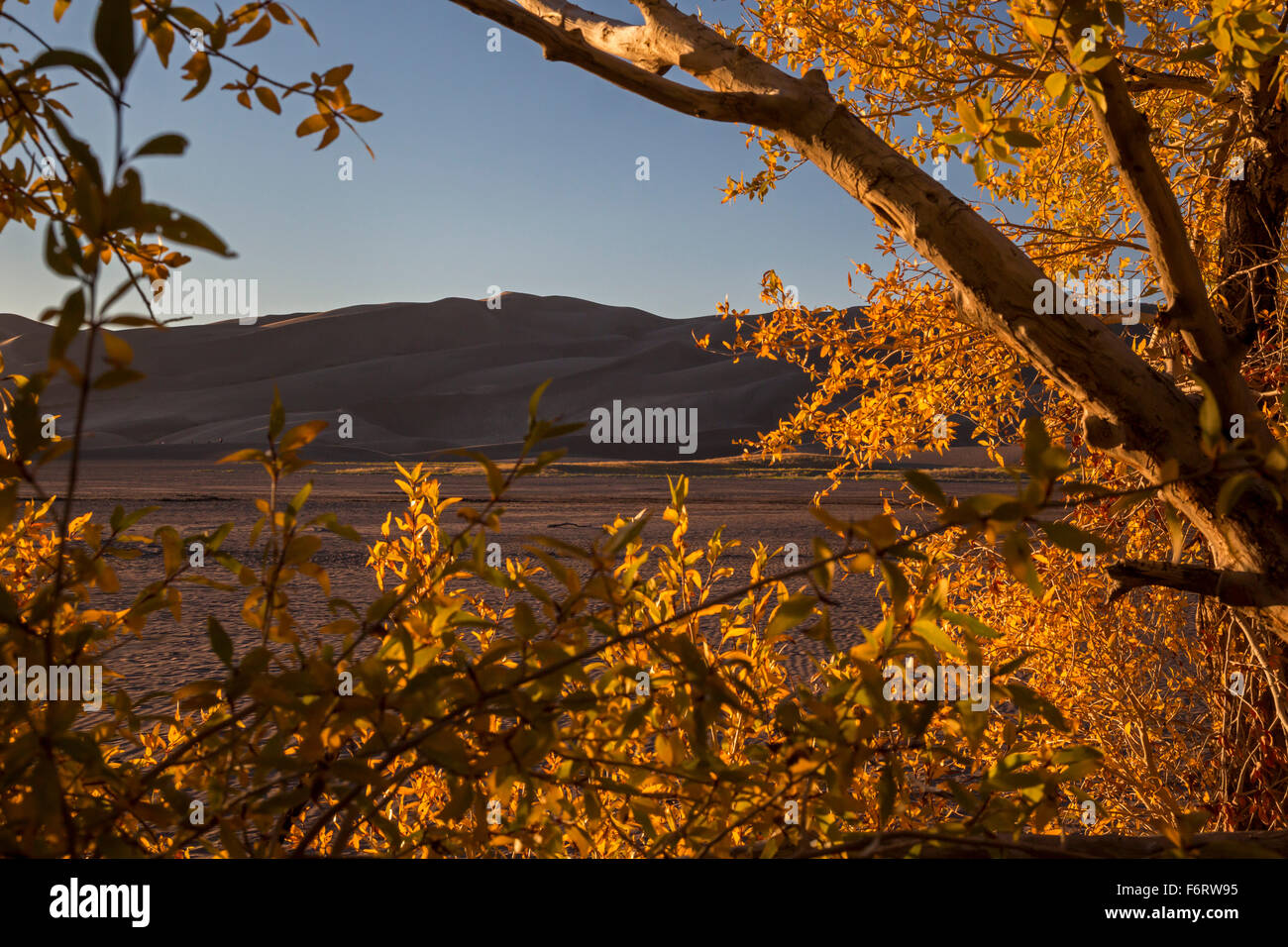Mosca, Colorado - Great Sand Dunes National Park and Preserve Stock ...