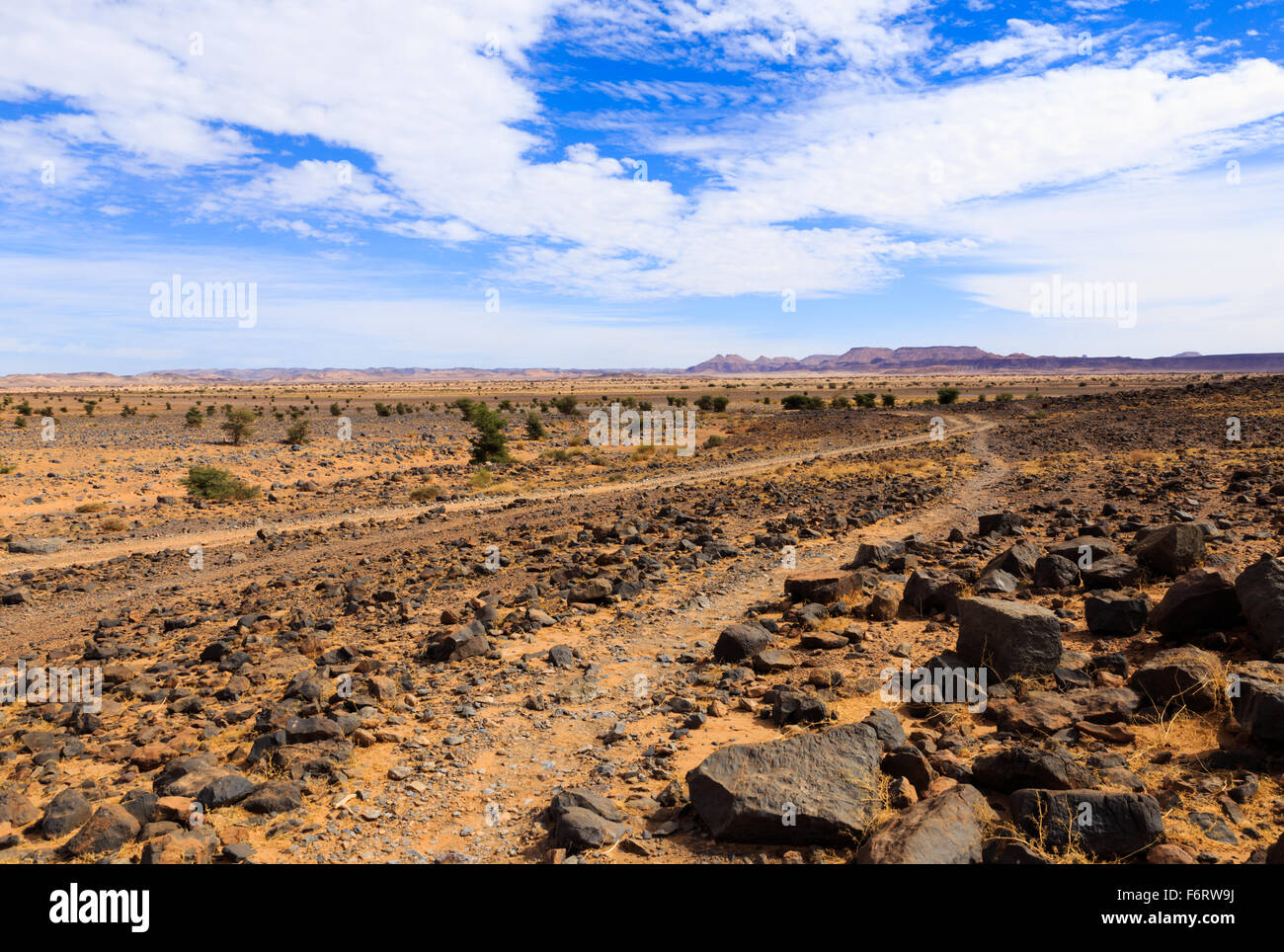 stones in the Sahara desert Stock Photo - Alamy