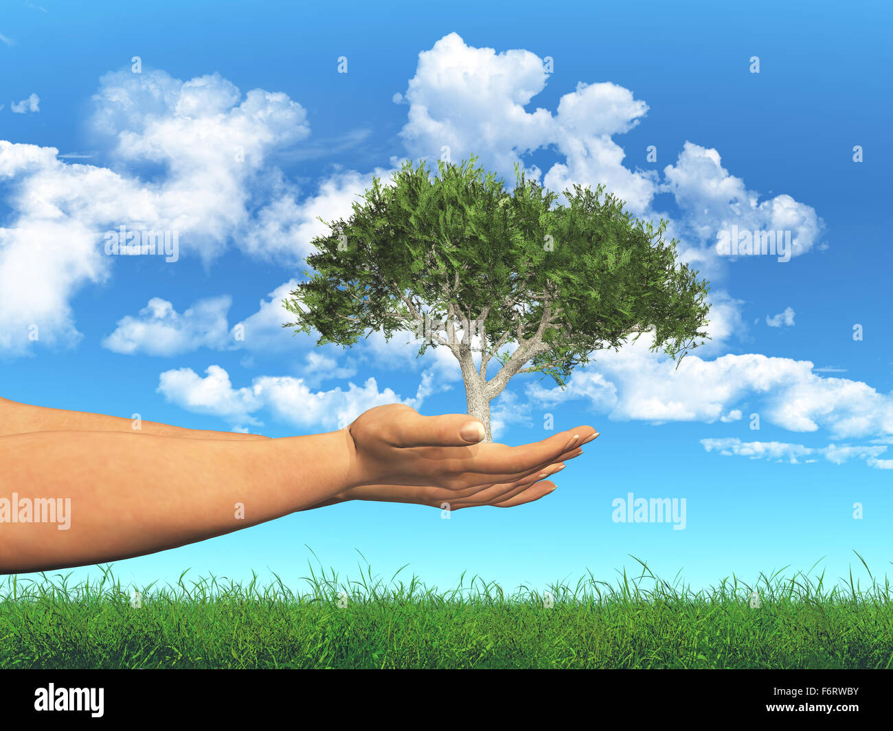 Figure in tree landscape hi-res stock photography and images - Alamy