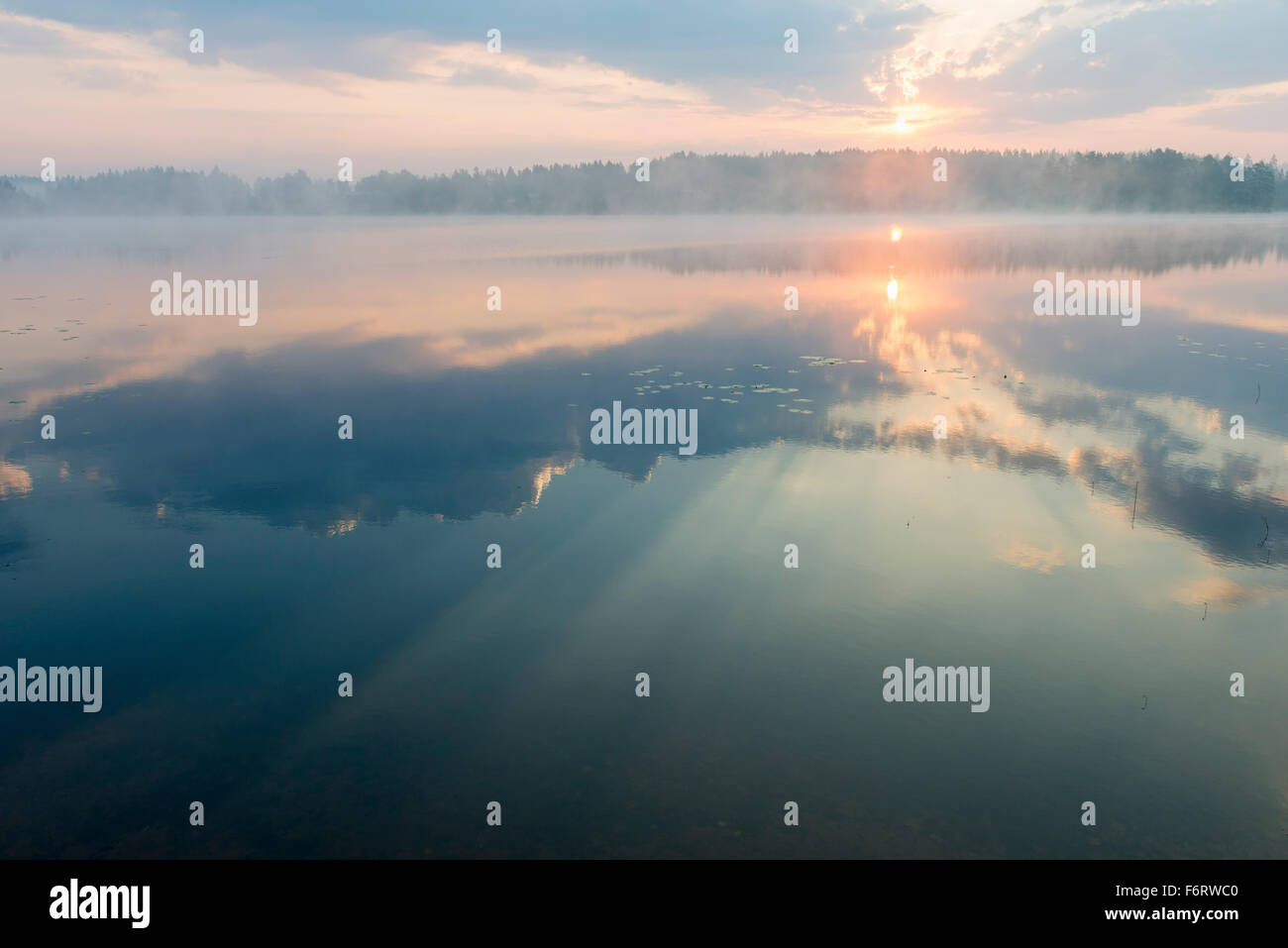 Mist and lake Stock Photo - Alamy