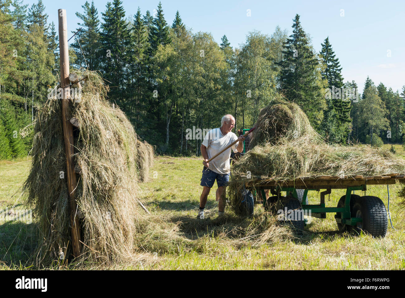 Hay cart horse man road hi-res stock photography and images - Alamy