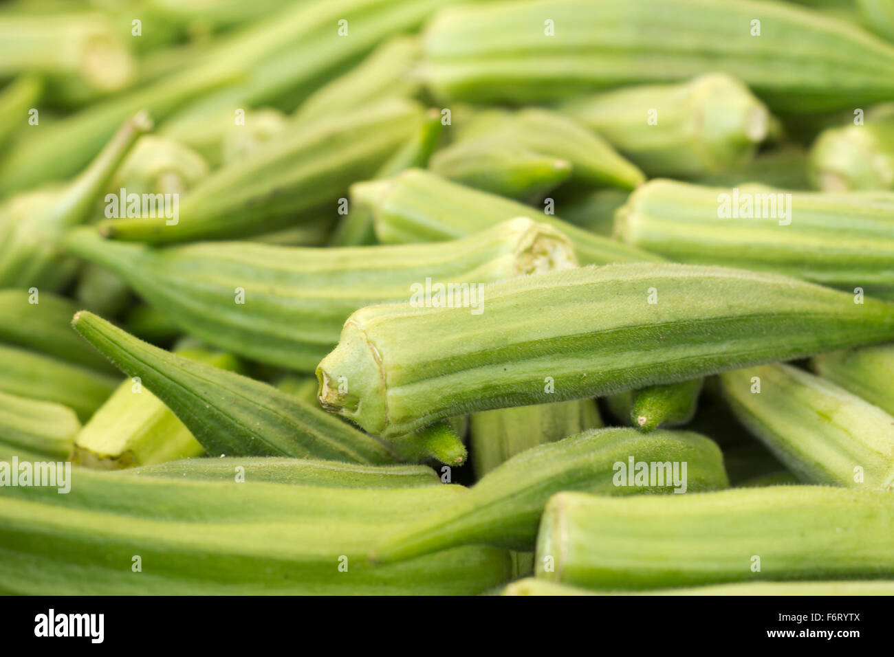 Pile of ripe okra for sale at local farmers market Stock Photo - Alamy