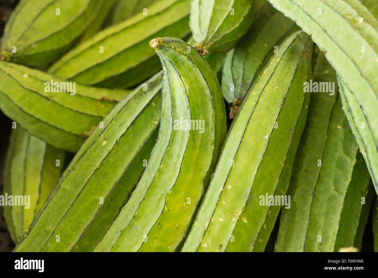 Pile of ripe okra for sale at local farmers market Stock Photo - Alamy