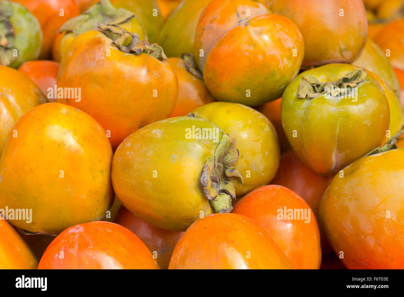 Persimmon Tree China Stock Photos & Persimmon Tree China Stock Images ...