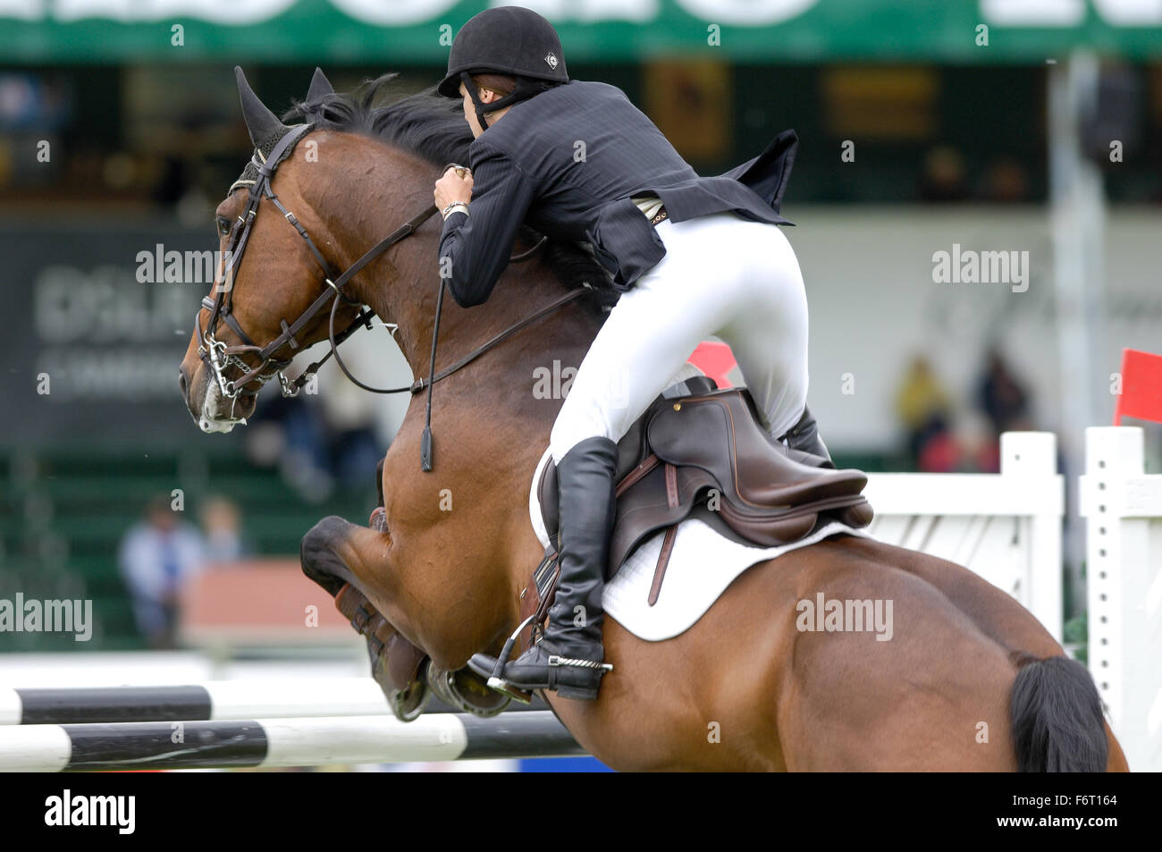 CN Reliability Grand Prix - Tami Phillips (CAN) riding Lucas at The ...