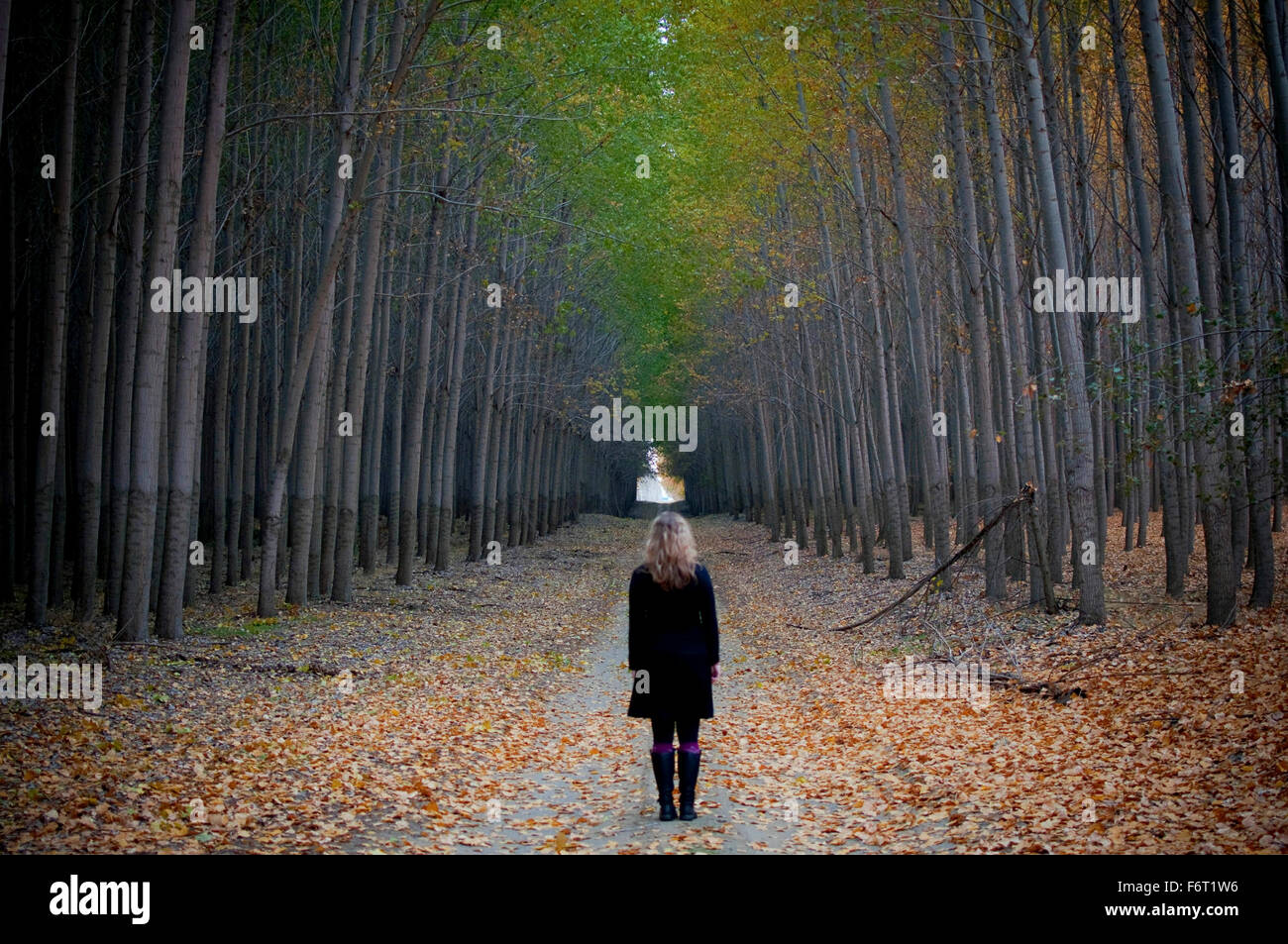 Way into the digital age hi-res stock photography and images - Alamy