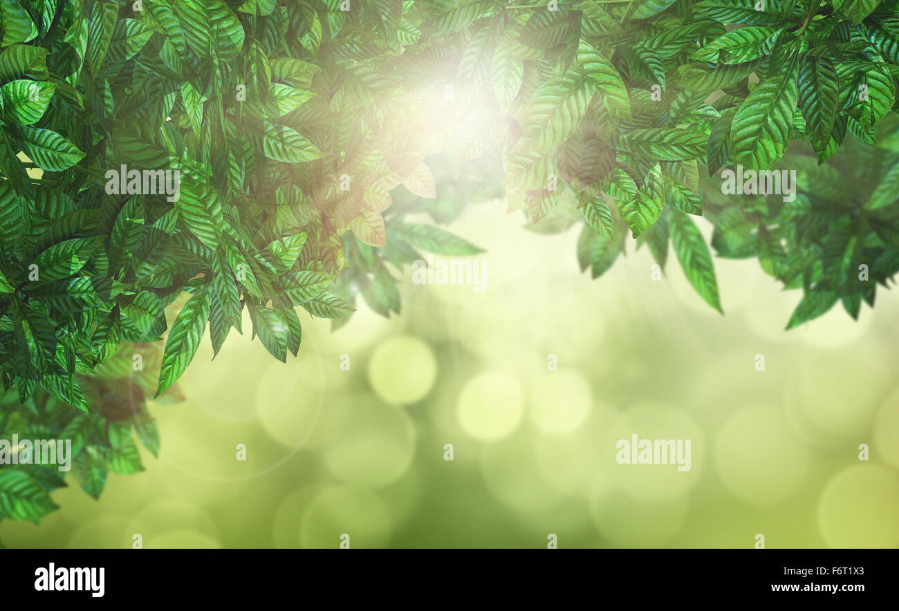 3D render of leaves against a defocussed background Stock Photo - Alamy