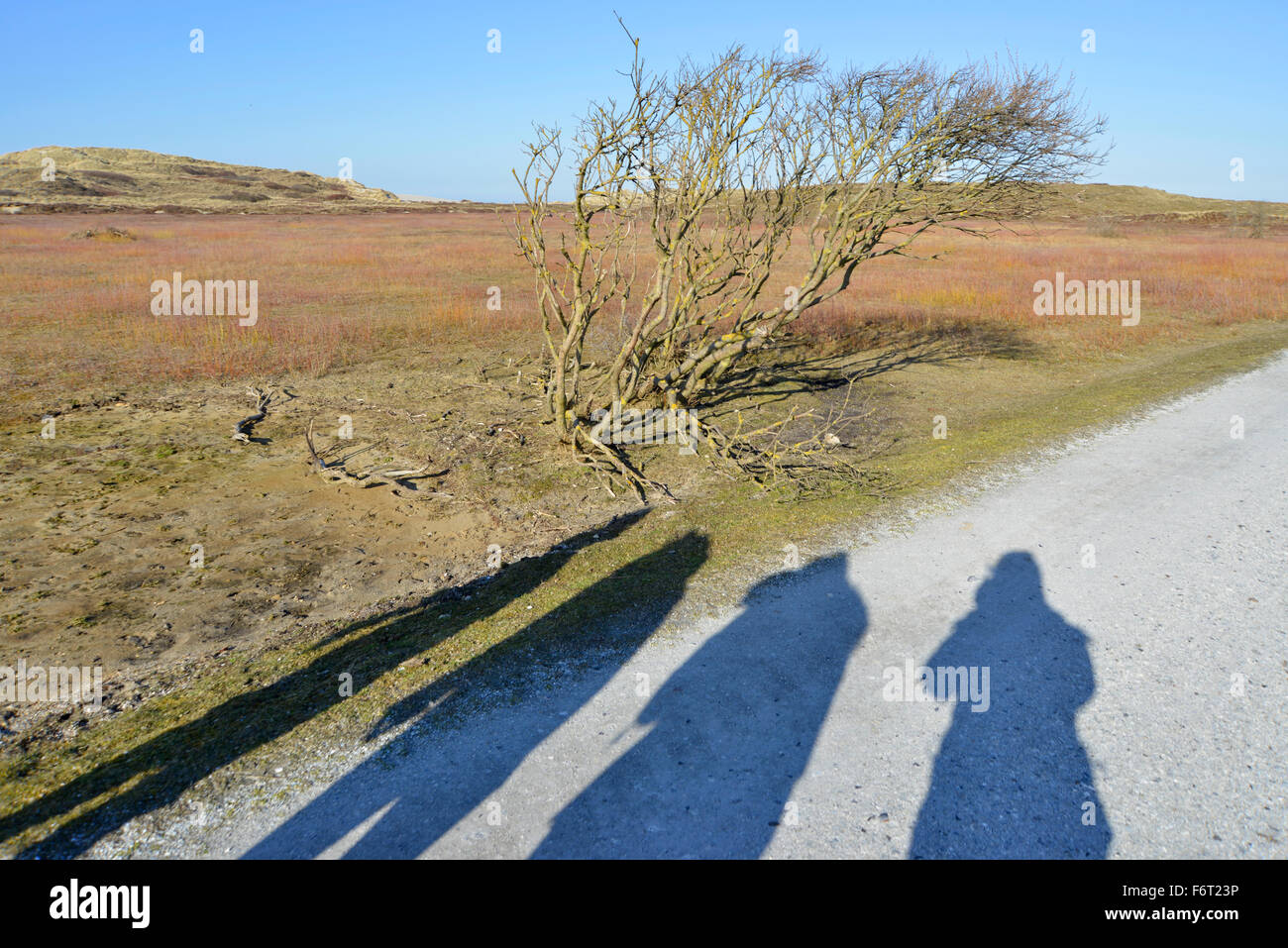 shadows of walking people Stock Photo - Alamy