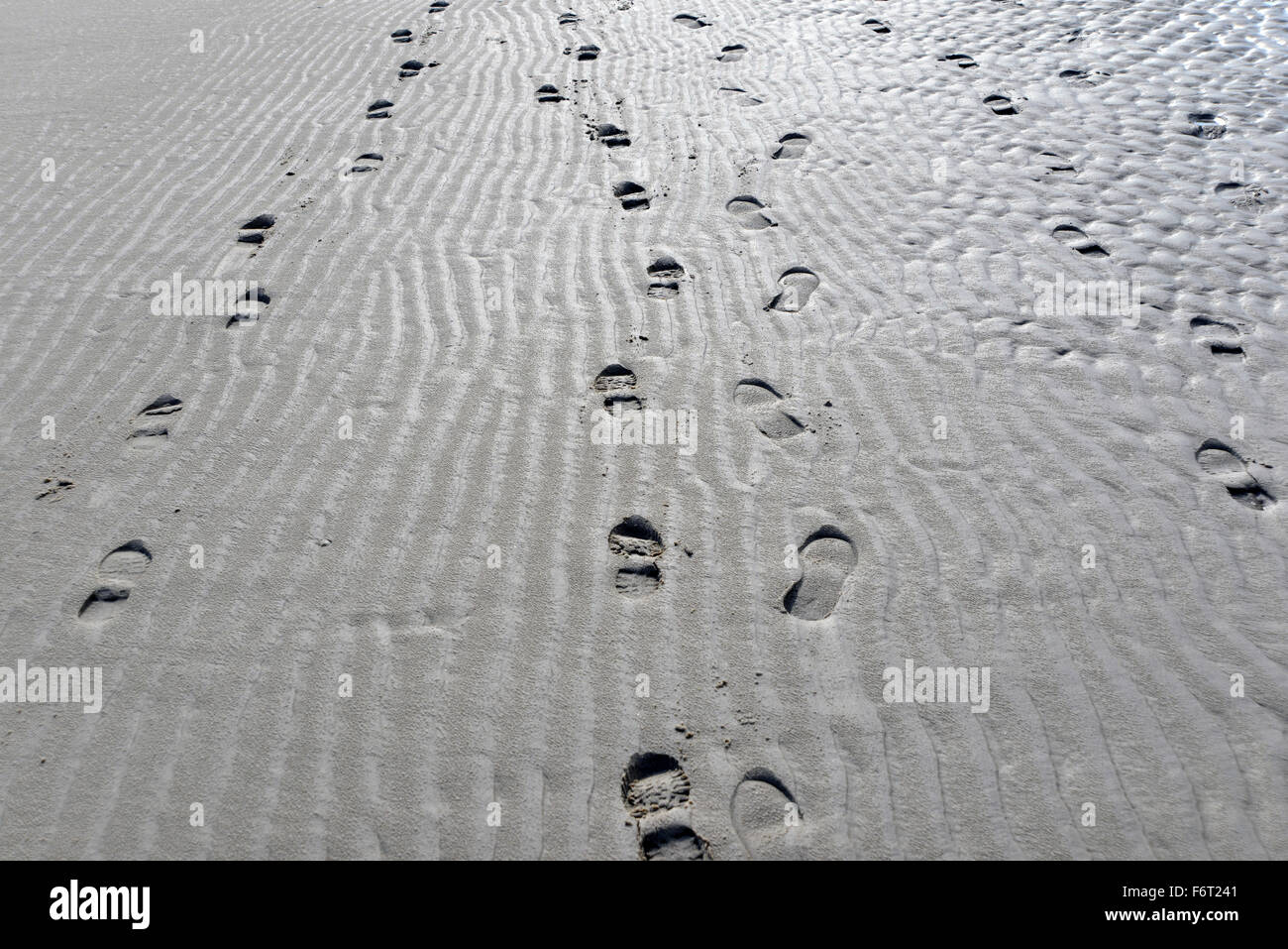 foots teps on Terschelling, The Netherlands Stock Photo - Alamy