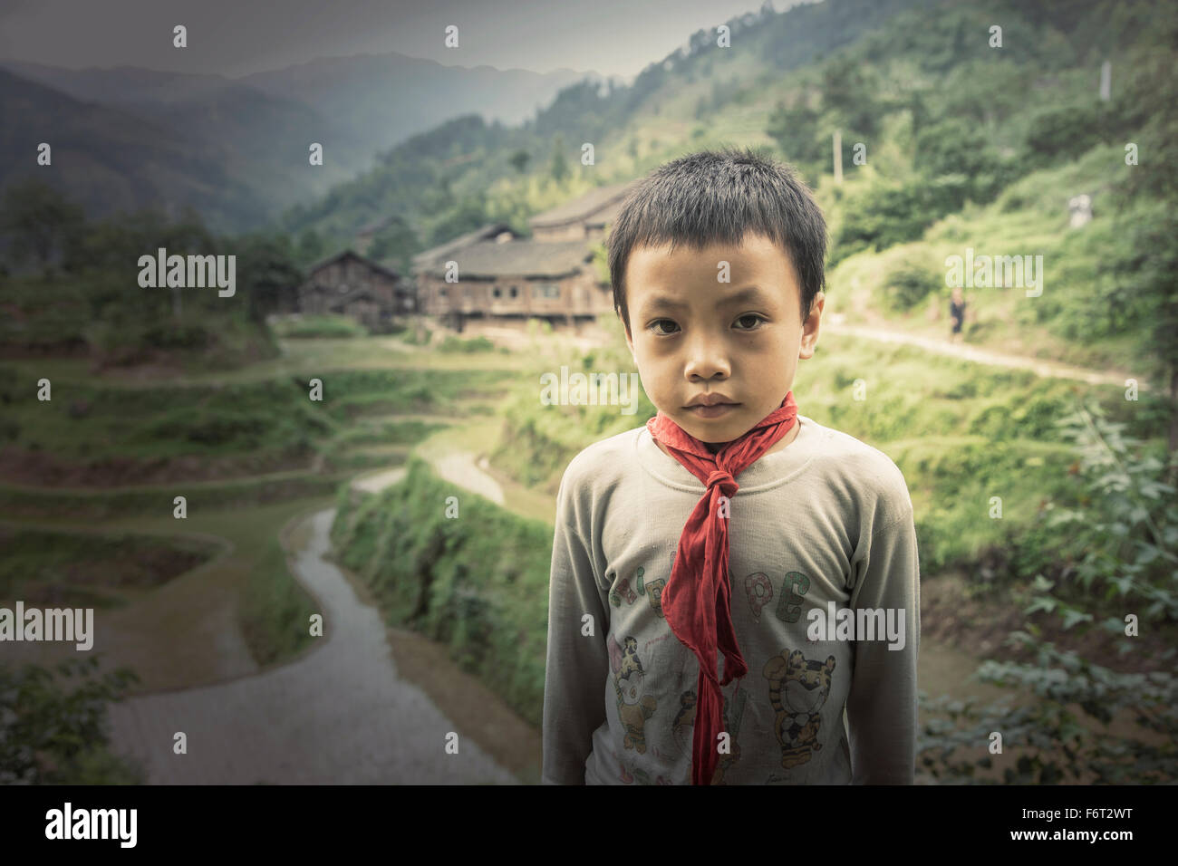 Chinese boy standing in rice paddy fields Stock Photo - Alamy