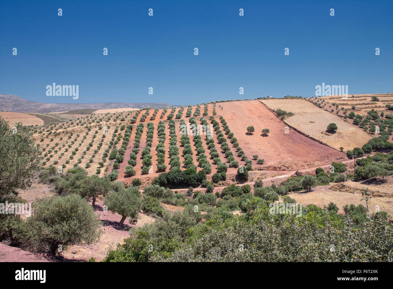 Aerial view of farm fields, Crete, Greece Stock Photo - Alamy