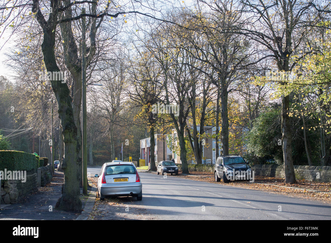 The tree lined road through the Rivelin Valley in the South Yorkshire ...