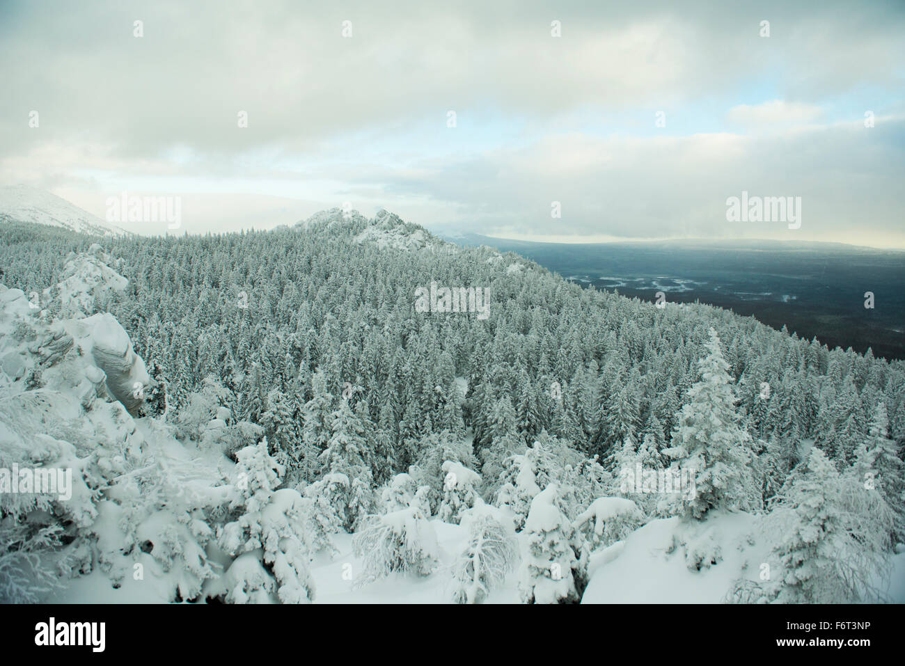 Aerial view of snowy forest in remote landscape Stock Photo - Alamy