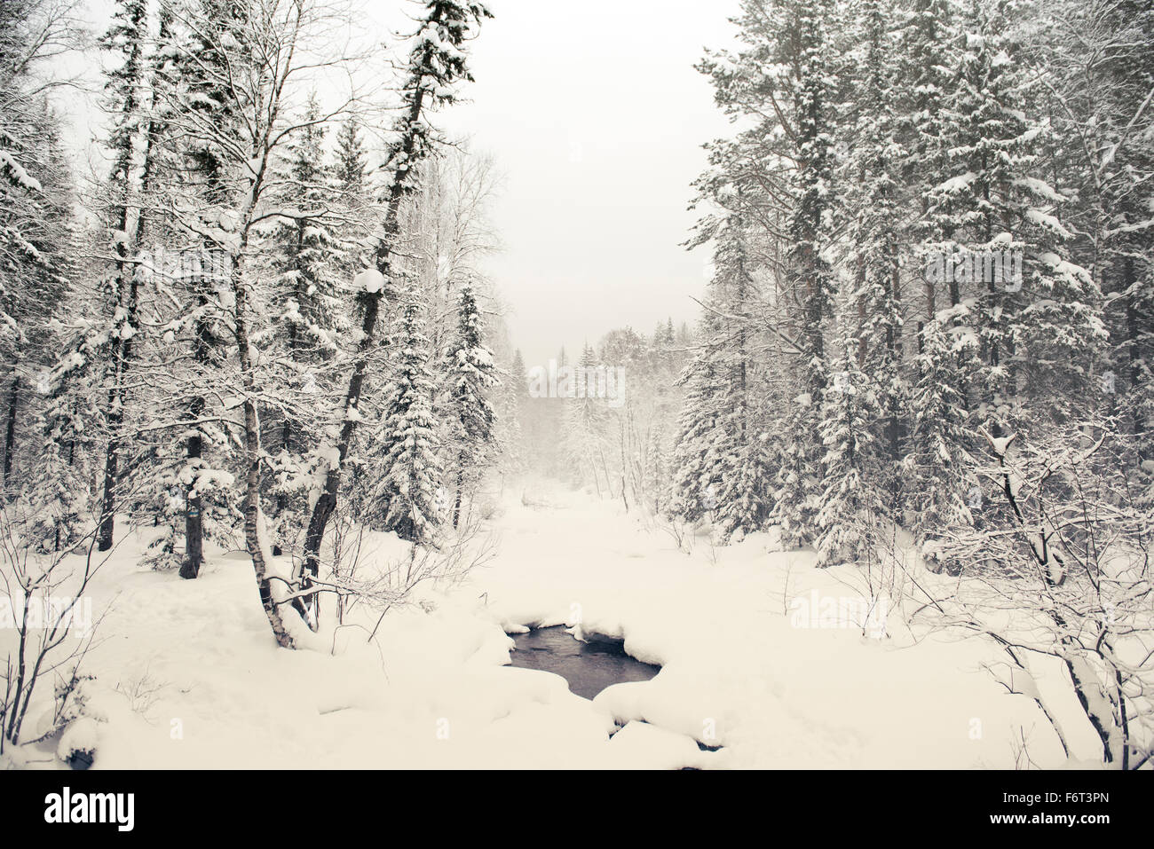 Forest nature frozen stream hi-res stock photography and images - Alamy