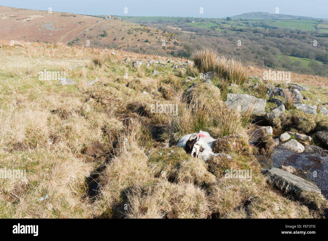 Decompose body farm hi-res stock photography and images - Alamy