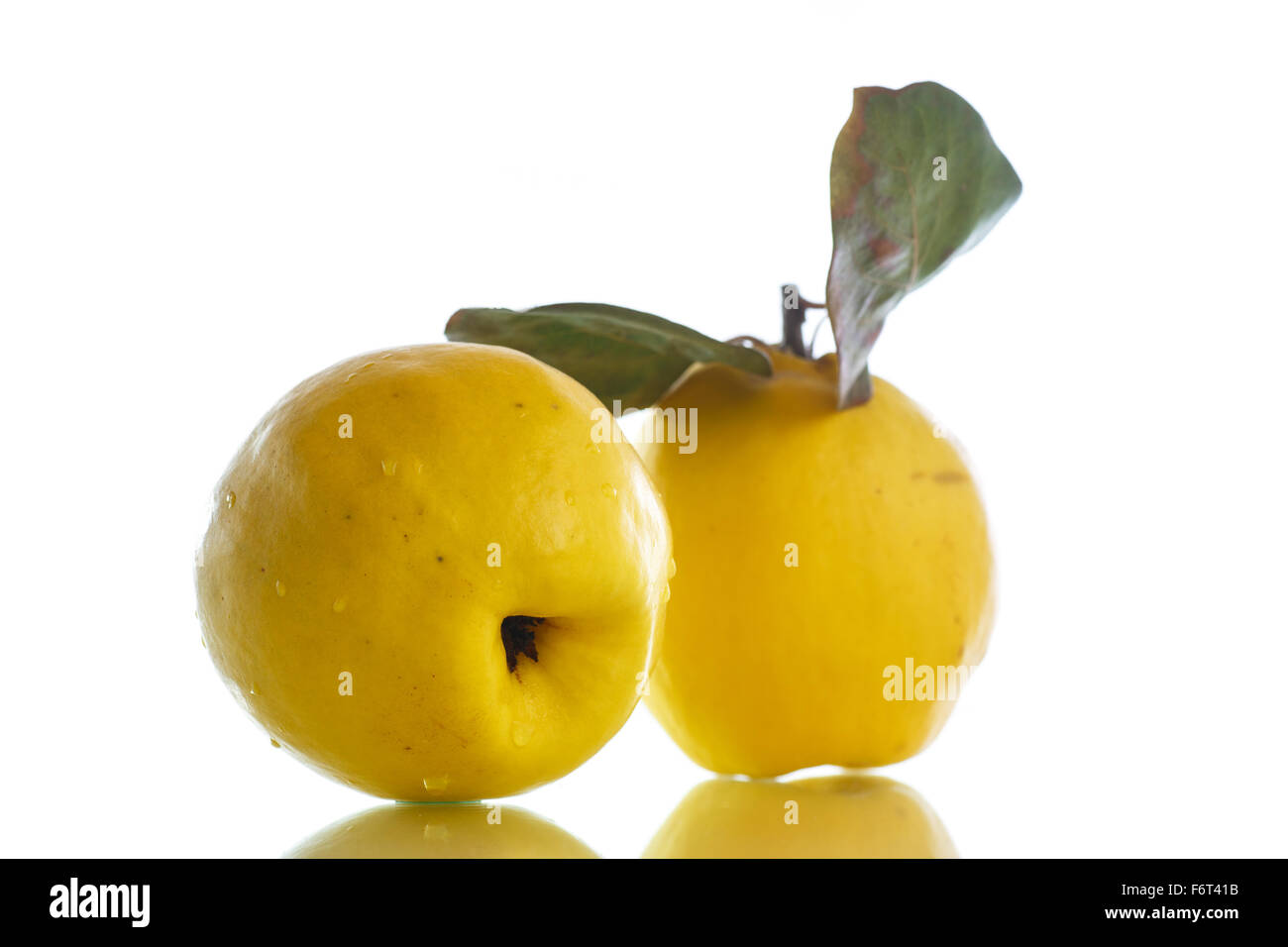 Ripe quince hi-res stock photography and images - Alamy