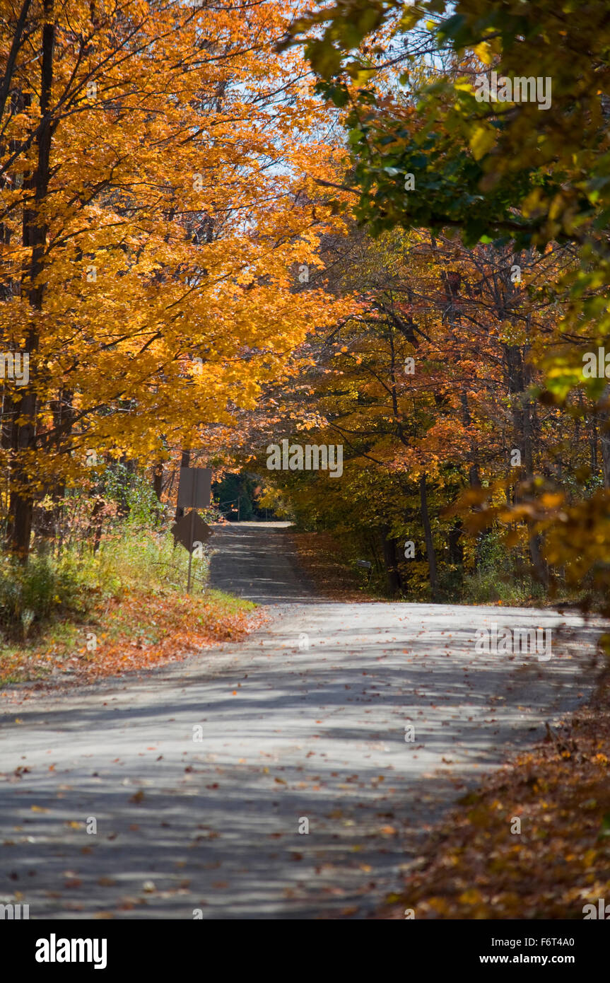 Vivid colours striking colours hi-res stock photography and images - Alamy