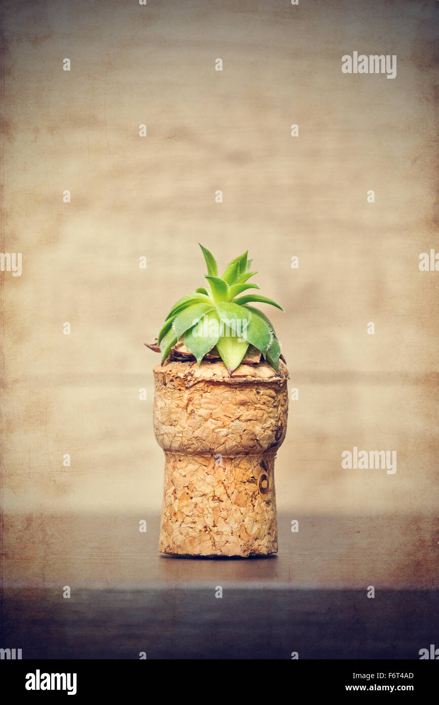 Putted hi-res stock photography and images - Alamy