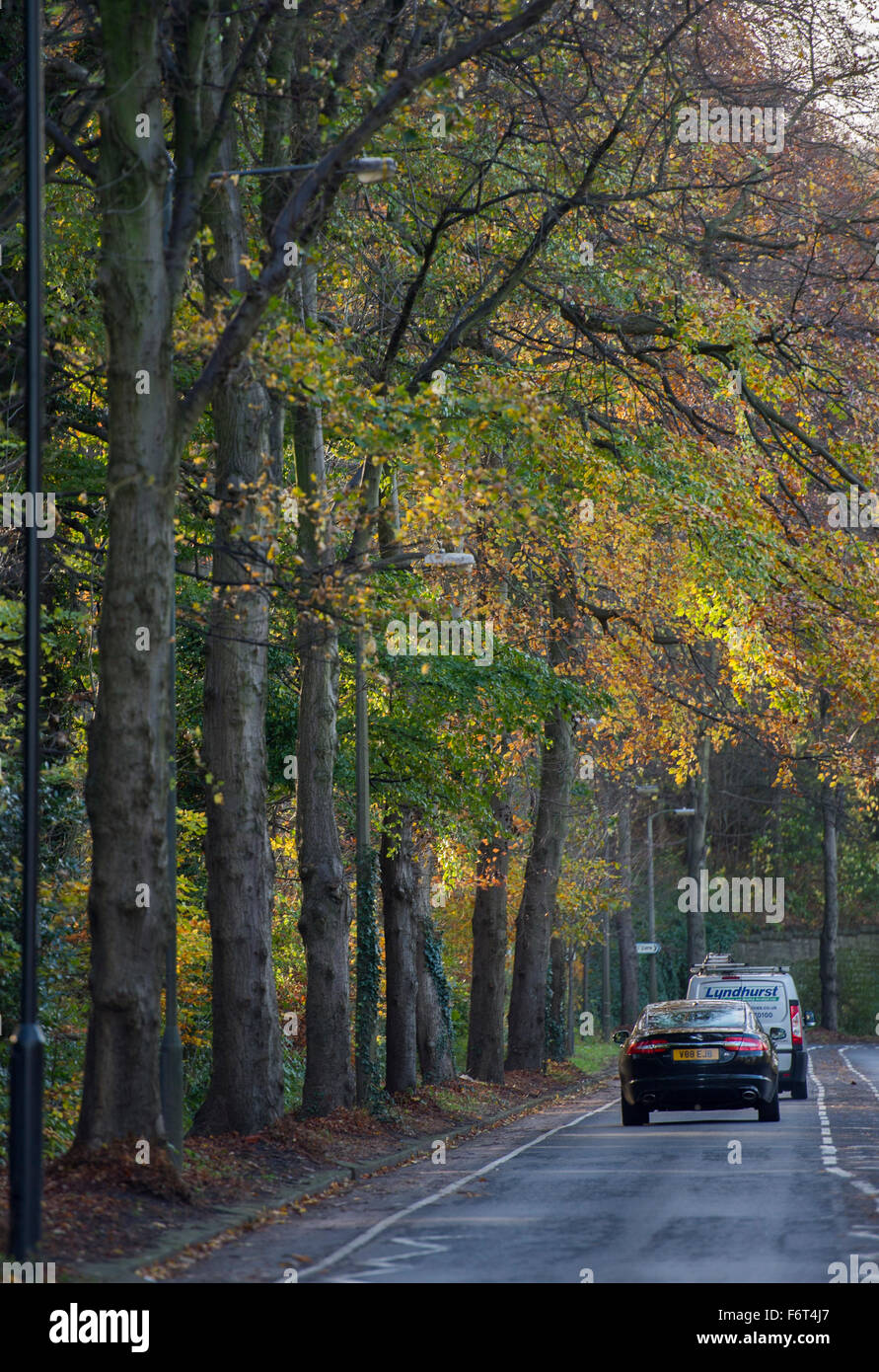 The tree lined road through the Rivelin Valley in the South Yorkshire ...