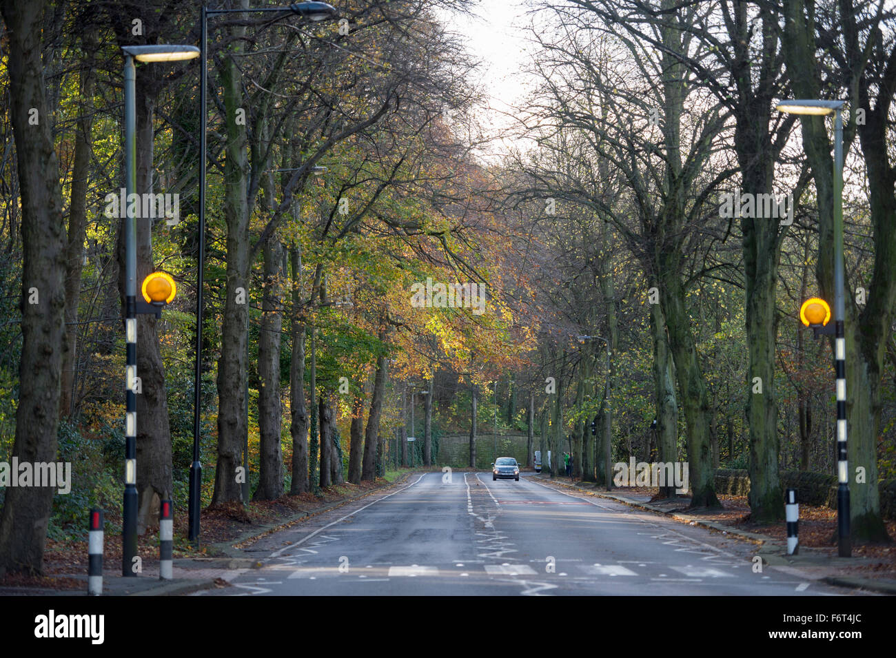The tree lined road through the Rivelin Valley in the South Yorkshire ...