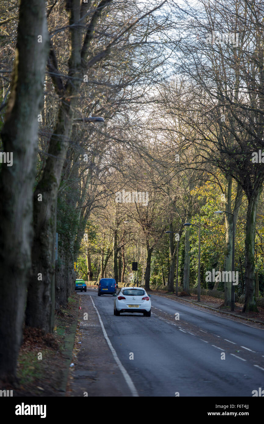 The tree lined road through the Rivelin Valley in the South Yorkshire ...