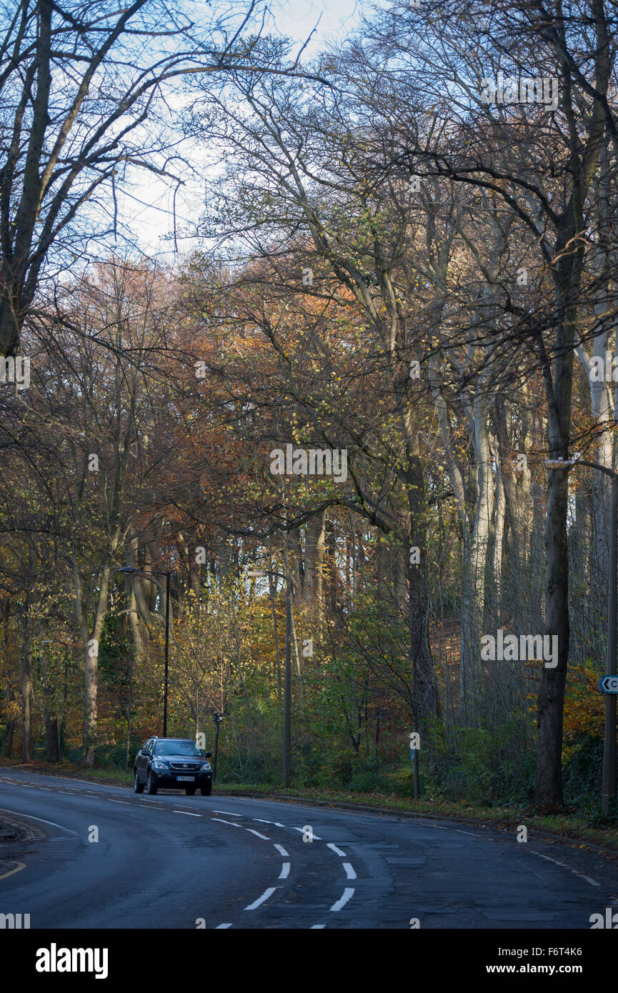 The tree lined road through the Rivelin Valley in the South Yorkshire ...