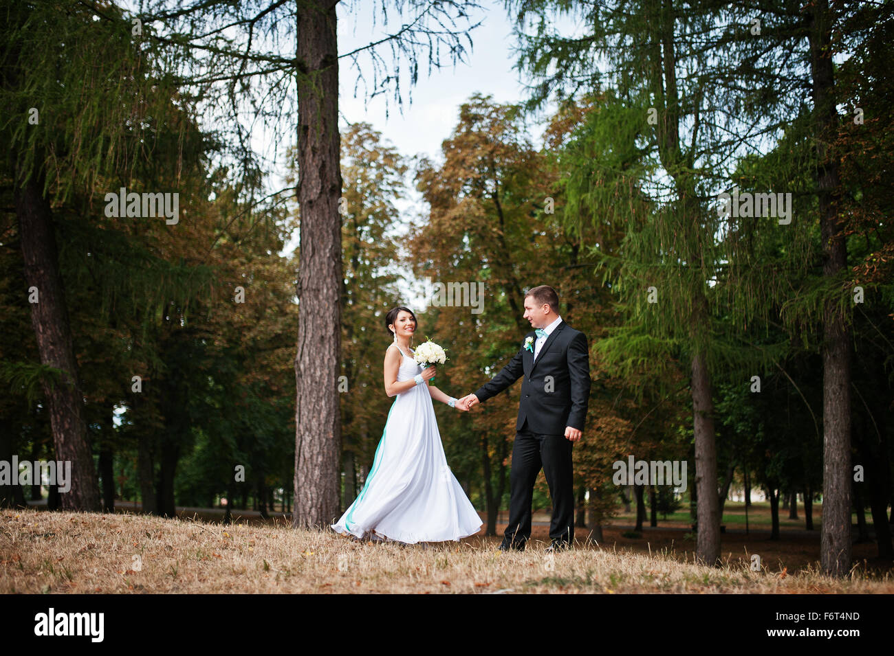 Newly wed in their wedding day at park Stock Photo - Alamy