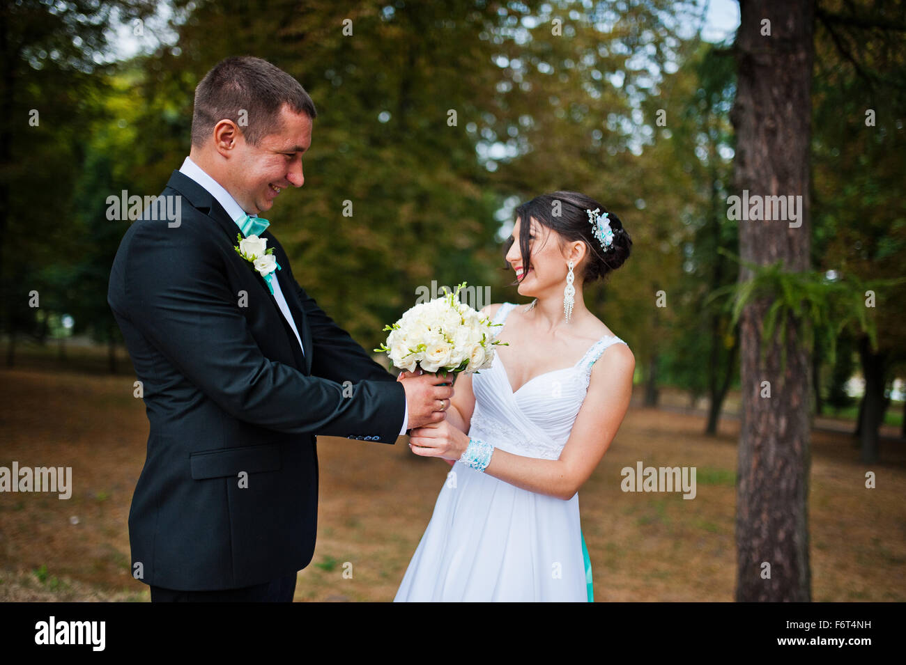 Newly wed in their wedding day at park Stock Photo - Alamy