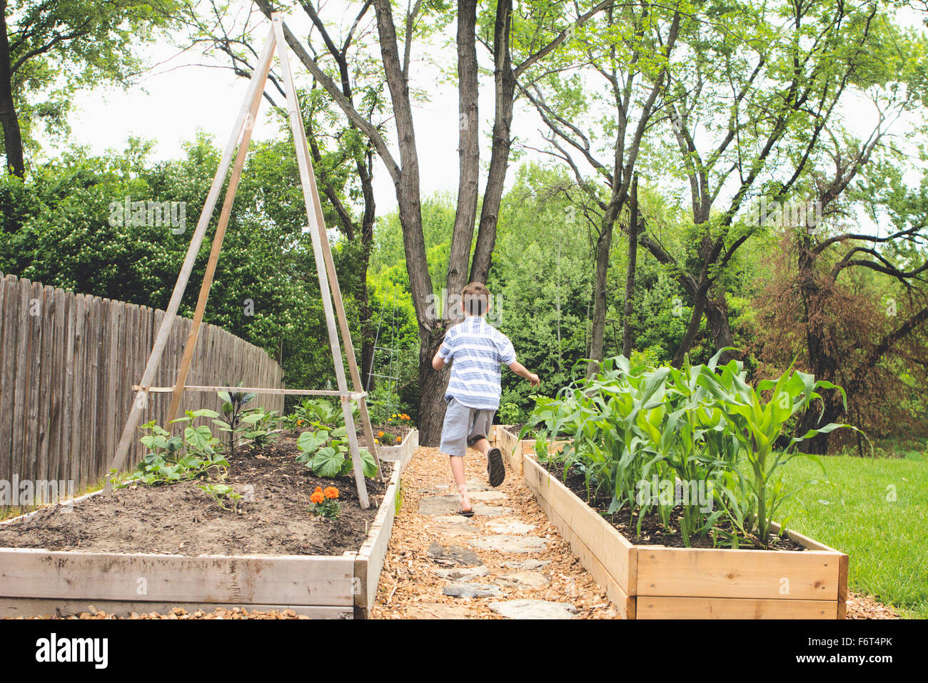 Caucasian boy running in backyard Stock Photo - Alamy