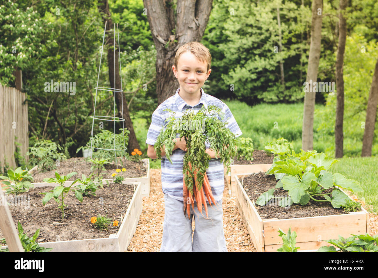 Boy gardening soil hi-res stock photography and images - Alamy