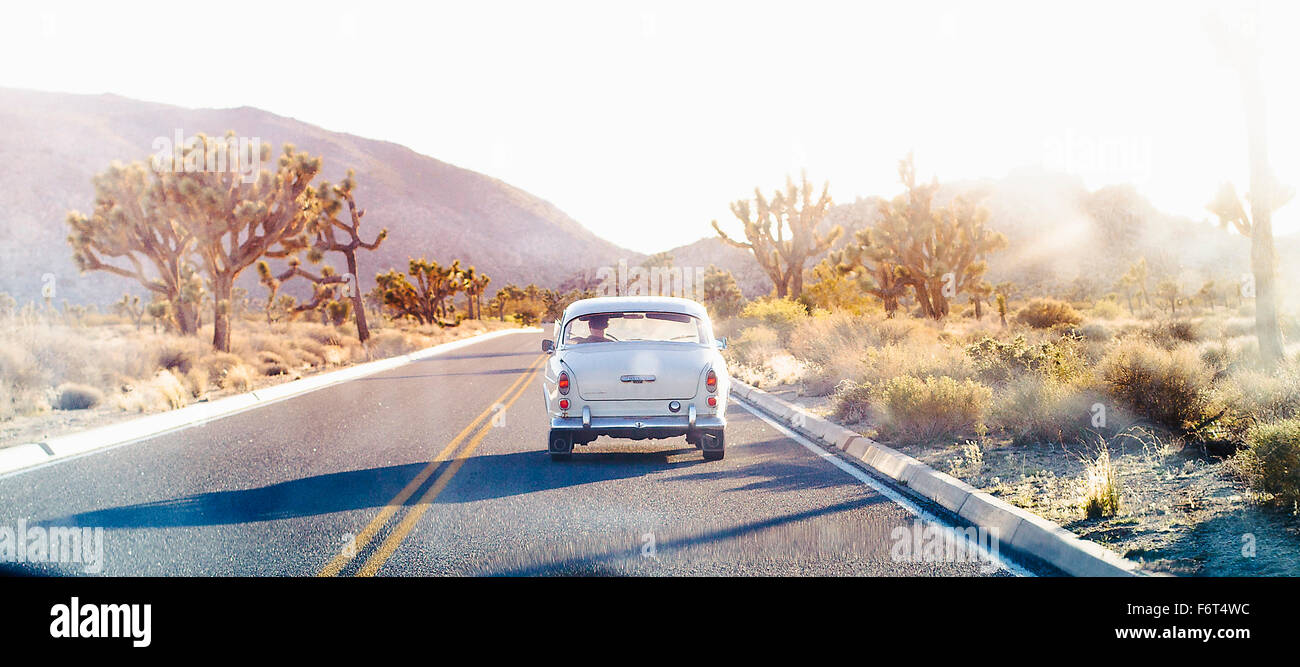 Vintage Road Trip Photography