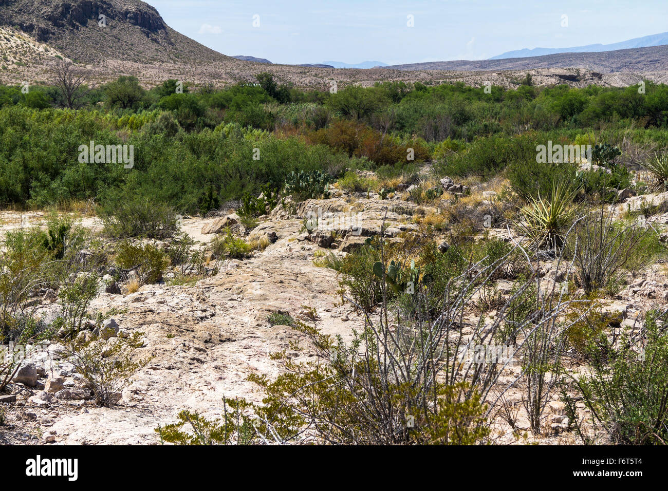 Chihuahuan desert topography hi-res stock photography and images - Alamy