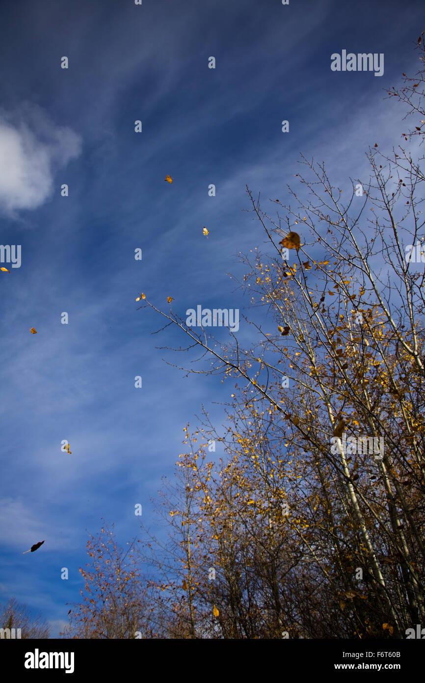Breeze clouds hi-res stock photography and images - Alamy