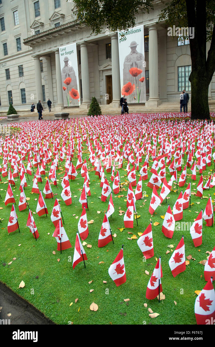 Display of small Canadian flags for Remembrance Day 2015 outside ...