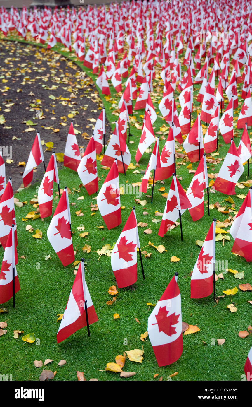 Display of small Canadian flags for Remembrance Day 2015 outside ...