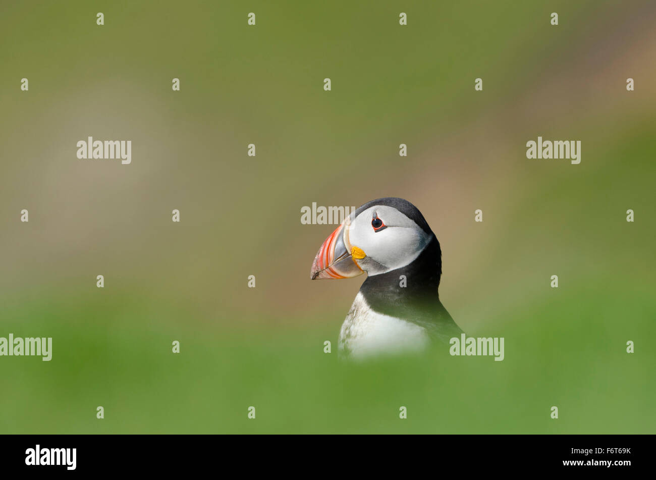 The low down hi-res stock photography and images - Alamy