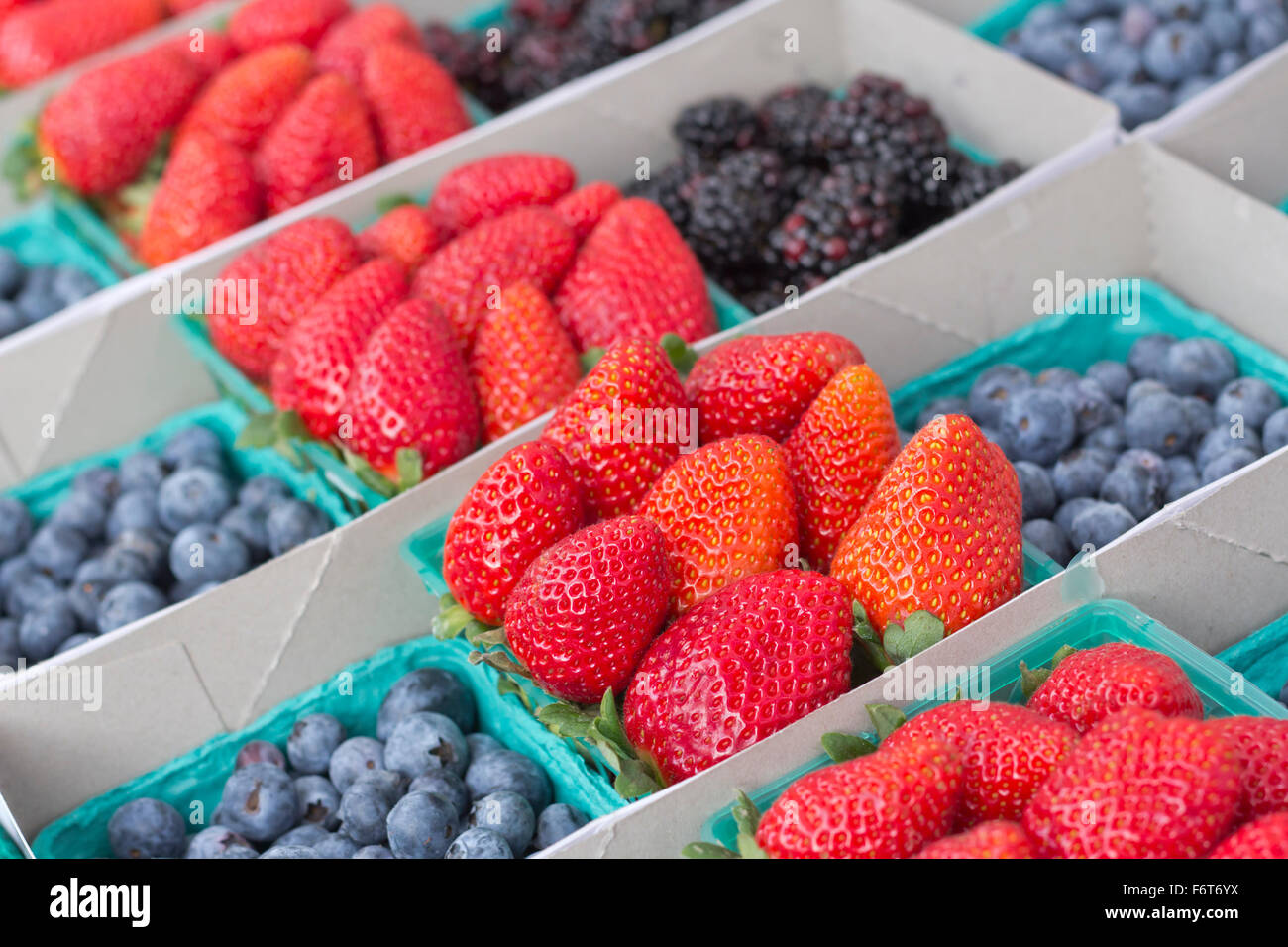 Rows of strawberries blueberries and blackberries at local farmers ...