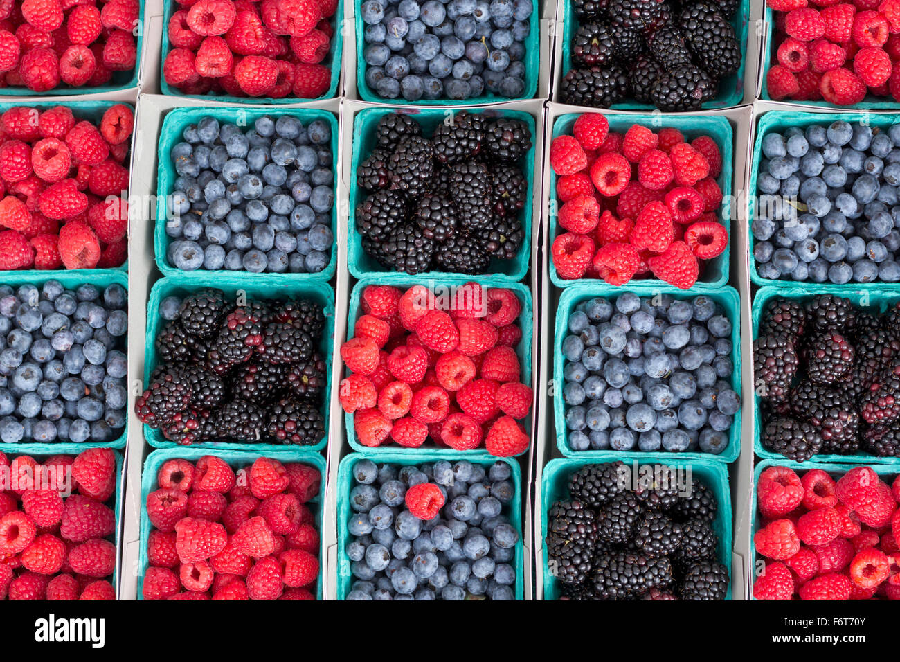 Rows of strawberries blueberries and blackberries at local farmers ...