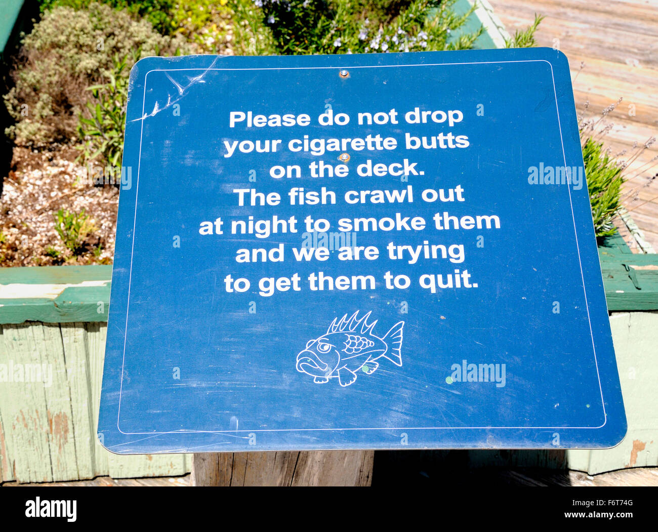 Fish cleaning sign hi-res stock photography and images - Alamy