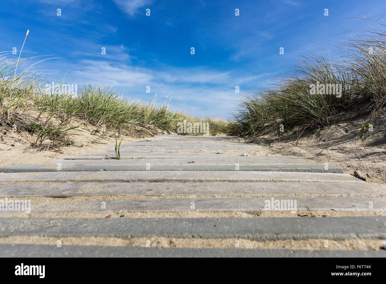 Rustic dune path to the beach, Chappaquiddick, Edgartown, Martha's ...