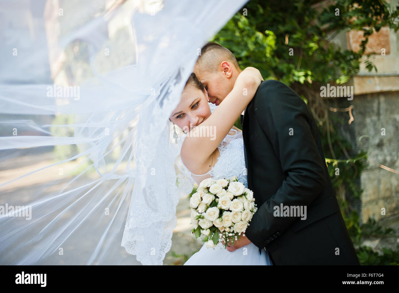 groom kissing on neck of bride with veil Stock Photo - Alamy