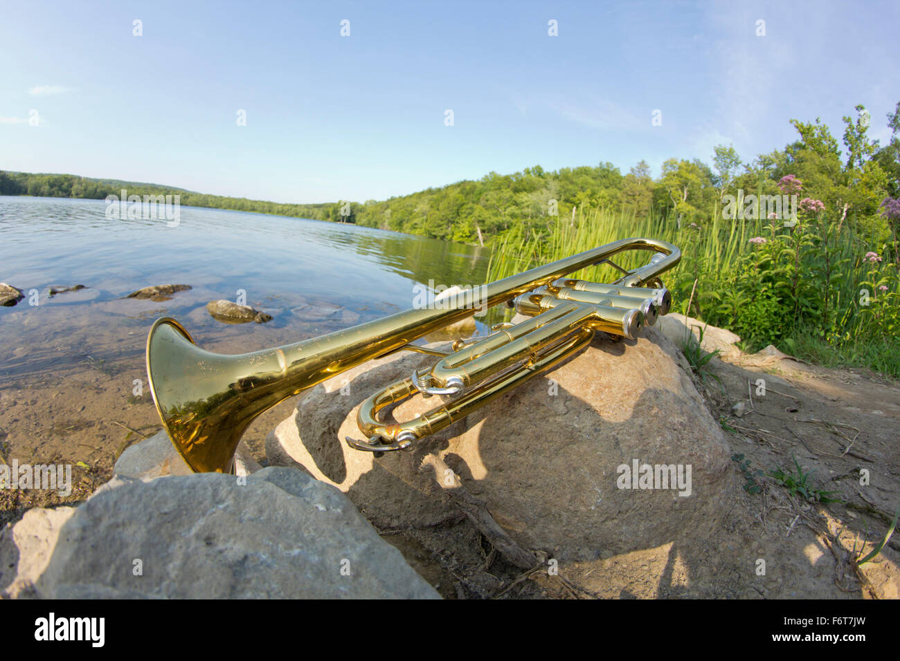 Summer Jazz trumpet in nature lying on rocks lakeside Stock Photo - Alamy