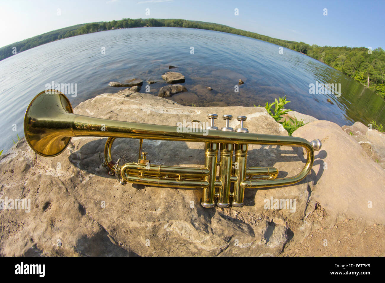 Summer Jazz trumpet in nature lying on rocks lakeside Stock Photo - Alamy
