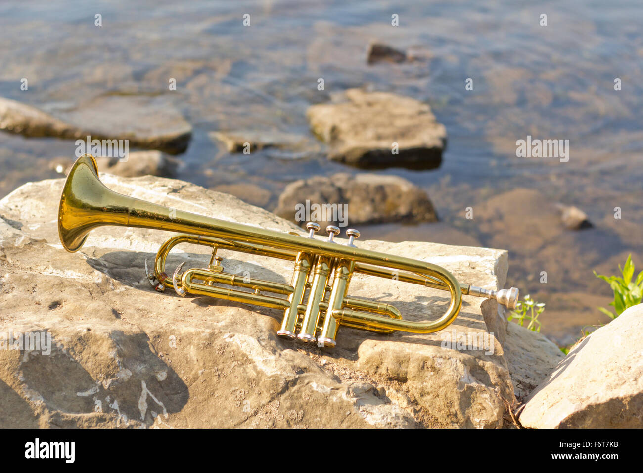 Summer Jazz trumpet in nature lying on rocks lakeside Stock Photo - Alamy