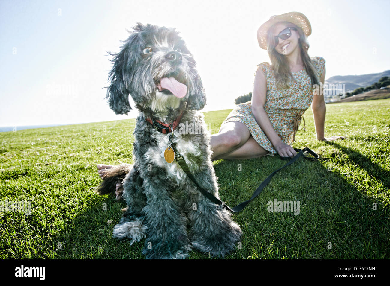 Dog facing woman animal hi-res stock photography and images - Alamy