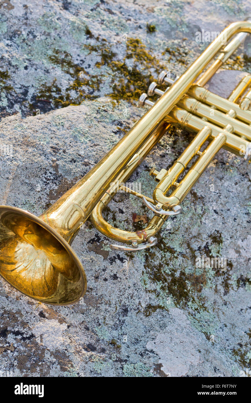 Old worn trumpet out in the wilderness Stock Photo - Alamy