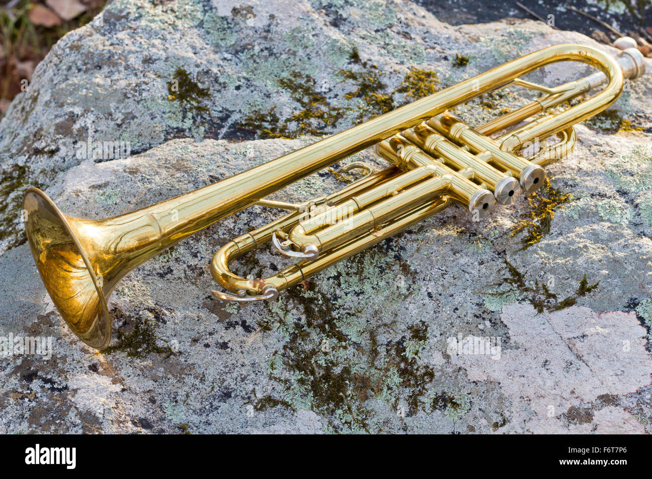 Old worn trumpet out in the wilderness Stock Photo - Alamy