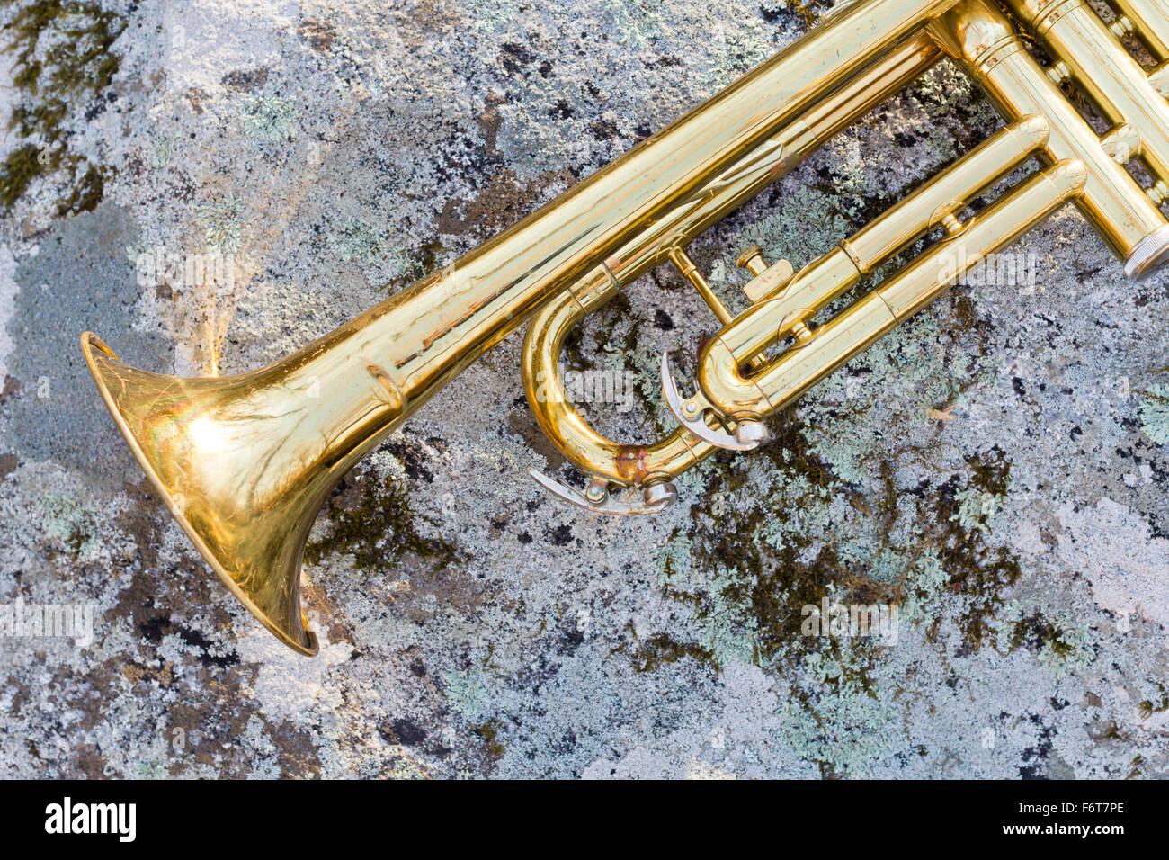 Old worn trumpet out in the wilderness Stock Photo - Alamy