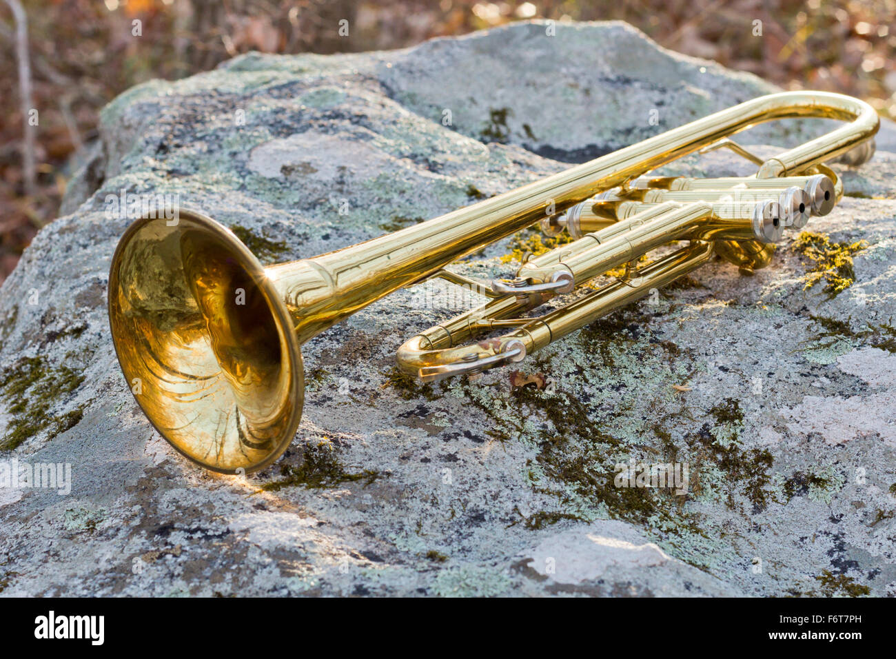 Old worn trumpet out in the wilderness Stock Photo - Alamy
