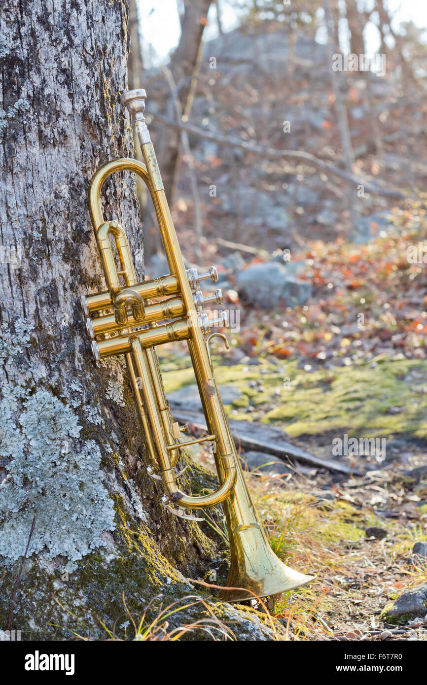 Old worn trumpet out in the wilderness on trail fall Stock Photo - Alamy